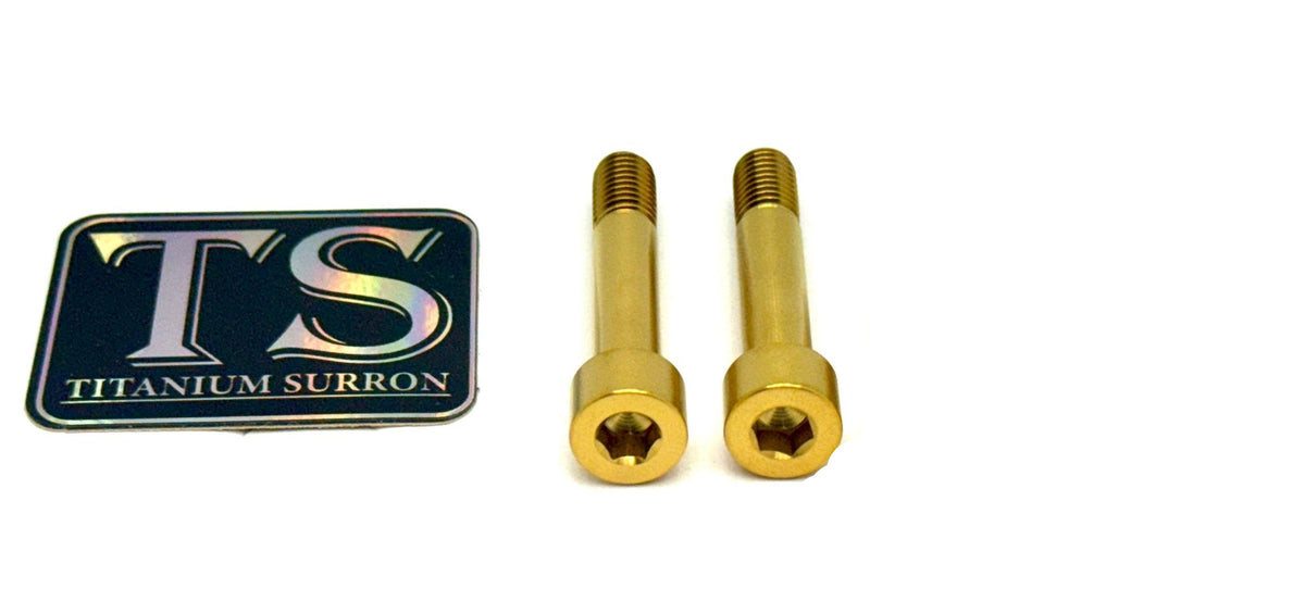 Titanium Motor Bolts - Rerode R1 – Puget Sound Motorsports